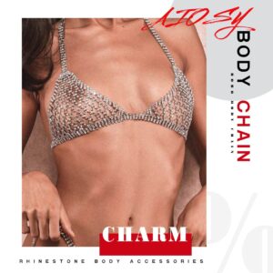 Aiosy Boho Body Chain Bra Silver Sexy Rhinestone Bikini Bra Body Halter Backless Sequins Chain Bra Beach Body Accessories Jewelry for Women (Silver Bra)