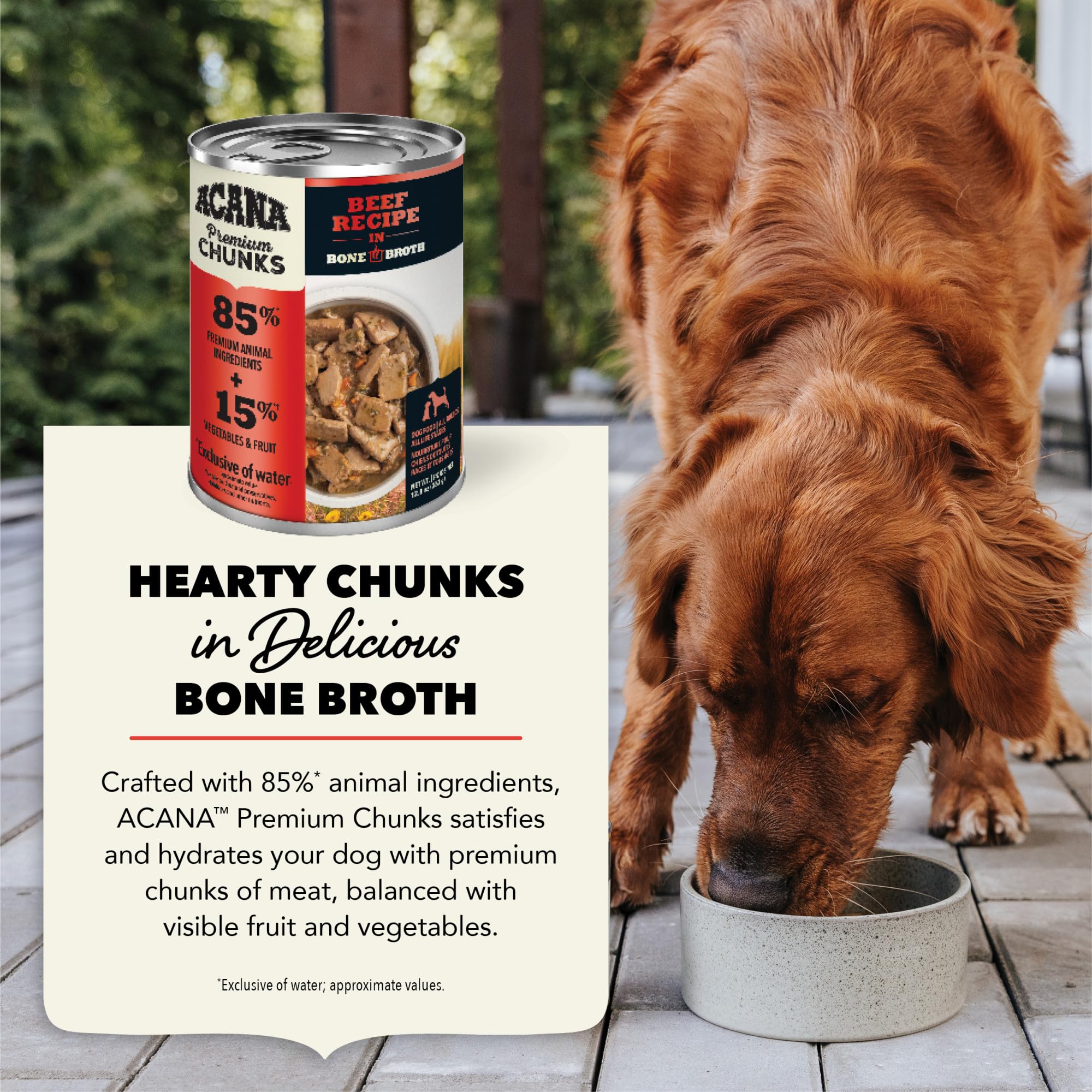 ACANA Premium Chunks Wet Dog Food, Beef Recipe in Bone Broth, 12.8oz (Case of 12)