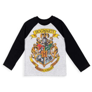 Harry Potter Gryffindor Hogwarts Big Boys 2 Pack T-Shirt Red/Grey 18-20