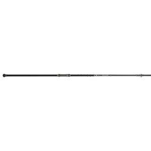 PENN Carnage III Surf Conventional Fishing Rod, Silver/Black/Gold, 10' - Medium - 2pc