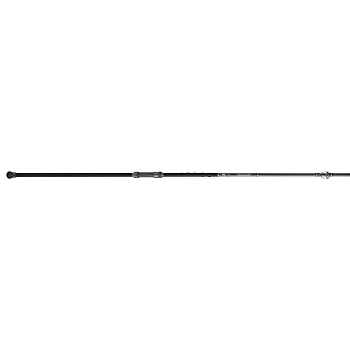 PENN Carnage III Surf Conventional Fishing Rod, Silver/Black/Gold, 10' - Medium - 2pc