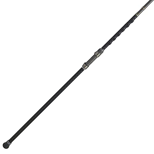 PENN Carnage III Surf Conventional Fishing Rod, Silver/Black/Gold, 10' - Medium - 2pc