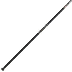 PENN Carnage III Surf Conventional Fishing Rod, Silver/Black/Gold, 10' - Medium - 2pc