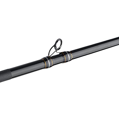 PENN Carnage III Surf Conventional Fishing Rod, Silver/Black/Gold, 10' - Medium - 2pc