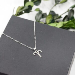 Saalort 925 Sterling Silver Zodiac Sign Necklace Horoscope Constellation Astrology Charm Pendant Aries