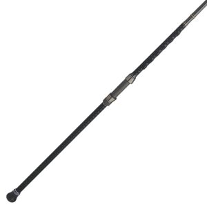 penn carnage iii surf spinning fishing rod, silver/black/gold, 10' - medium heavy - 20-40lb - 2pc