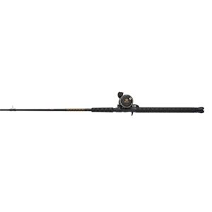 PENN Squall II Level Wind Conventional Reel and Fishing Rod Combo, Black/Gold