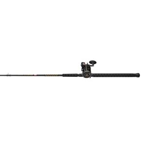 PENN Squall II Level Wind Conventional Reel and Fishing Rod Combo, Black/Gold