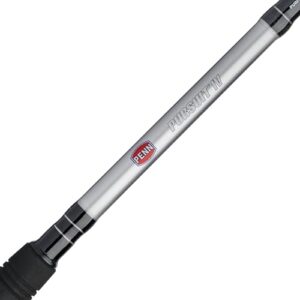 PENN 10’ Pursuit IV 2-Piece Fishing Rod and Reel (Size 4000) Surf Spinning Combos, 10’, 2 Graphite Composite Fishing Rod with 5 Reel, Durable and Lightweight, Black/Silver