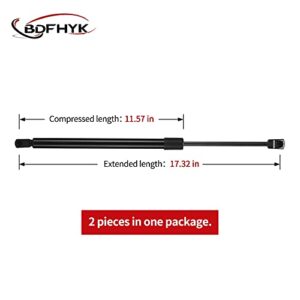 Gas Charged Hood Lift Support Struts for F-250 F-350 F-450 F-550 Super Duty Excursion 1995-2007 4339 Gas Spring strut Shock, 2 PCS