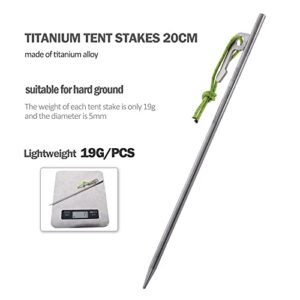 Boundless Voyage 6pcs Titanium Alloy Tent Pegs Outdoor Camping Awning Tent Stakes Lightweight Hiking Climbing Tent Nail Ti4014P