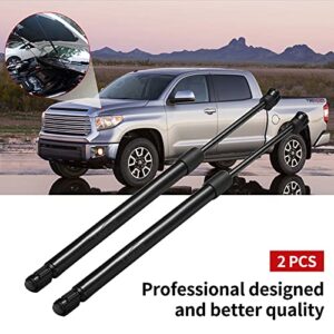 Gas Charged Hood Lift Support Struts for F-250 F-350 F-450 F-550 Super Duty Excursion 1995-2007 4339 Gas Spring strut Shock, 2 PCS