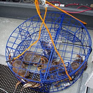 Promar Pacific Crabbing Kit, Blue, 30"