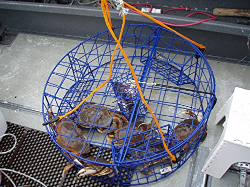 Promar Pacific Crabbing Kit, Blue, 30"