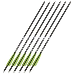 Bear X Karnage Truex Crossbow Arrows – 6 Pack, Grey