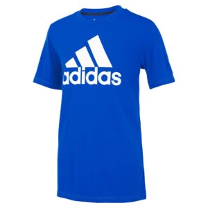 adidas boys short sleeve aeroready performance logo tee t-shirt t shirt, team royal blue, large us