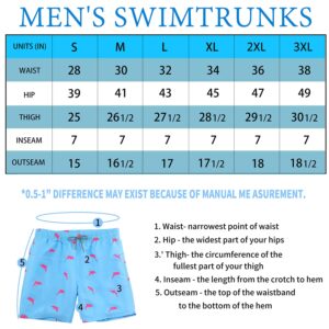 Biwisy Mens Swim Trunks Quick Dry Beach Shorts Casual Swimming Trunks with Pockets Drawstring Shorts Blue