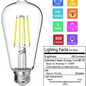 VOOSEI Daylight Bulbs 4000K LED E26 60W, 6W Equivalent to 60W Edison High Brightness ST58 Antique Non-Dimmable Filament Bulbs Clear Glass Pack of 6