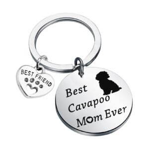 lywjyb birdgot best cavapoo mom ever keychain dog lover best friend cavapoo gift (best cavapoo ky)