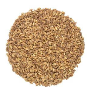 Organic Italian Pearled Farro - Raw, Non-GMO, Vegan, Bulk, Protein, Fiber Rich (5LB)