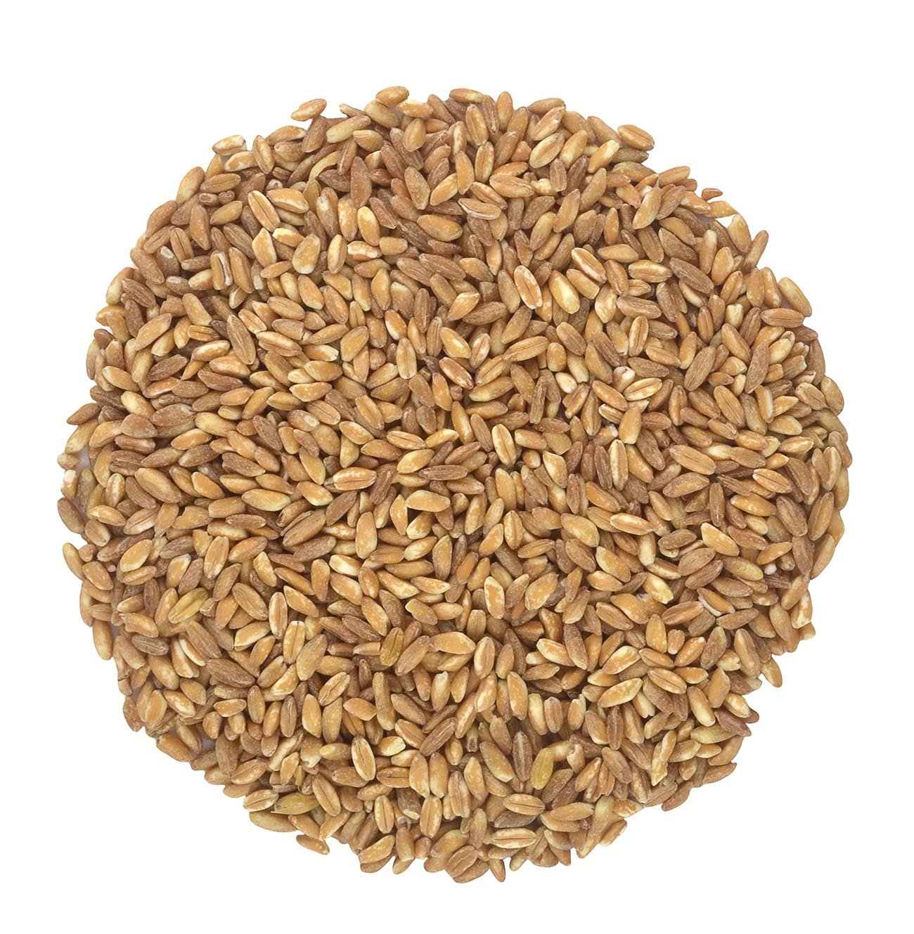 Organic Italian Pearled Farro - Raw, Non-GMO, Vegan, Bulk, Protein, Fiber Rich (5LB)