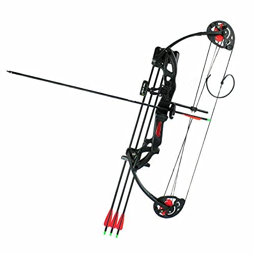 Youth Compound Bow and Arrow Set for Women/Beginner/Teenagers,with 4pcs Carbon Arrows Archery Right/Left Handed, 19”-28” Draw Length, 15-29lbs Draw Weight Archery Hunting Equipment.