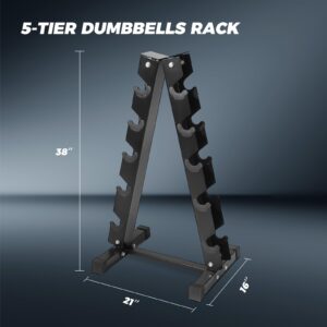 RitFit 250LB Hex Dumbbell Set with 5-Tier Rack, 10+15+25+35+40LB Free Weights with Rack for Strength Training, Full Body Functional Workouts