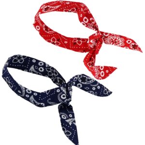 Iconikal Gel Cooling Head Band, Red and Blue Paisley, 4-Pack