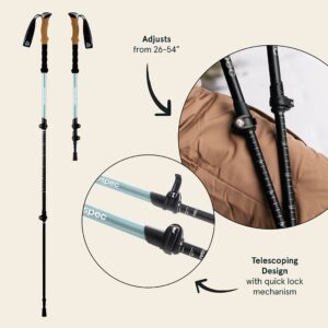 Retrospec Solstice Trekking & Ski Poles for Men & Women - Aluminum w/Cork Grip - Adjustable & Collapsible Lightweight Hiking, Walking & Skiing Sticks - Winter Mint