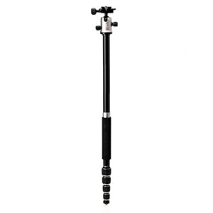 Benro MeFOTO Roadtrip Travel Tripod, Ballhead and Monopod in Titanium, 1 Series Aluminum Legs, 4 Leg Sections, Twist Leg Locks, Padded Carrying Case (BMRTATTN)