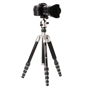 Benro MeFOTO Roadtrip Travel Tripod, Ballhead and Monopod in Titanium, 1 Series Aluminum Legs, 4 Leg Sections, Twist Leg Locks, Padded Carrying Case (BMRTATTN)