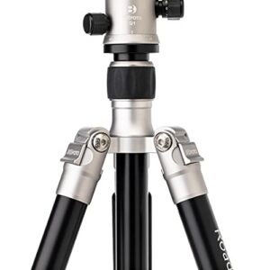 Benro MeFOTO Roadtrip Travel Tripod, Ballhead and Monopod in Titanium, 1 Series Aluminum Legs, 4 Leg Sections, Twist Leg Locks, Padded Carrying Case (BMRTATTN)