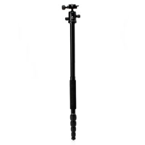 Benro MeFOTO Roadtrip Travel Tripod, Ballhead and Monopod in Black, 1 Series Aluminum Legs, 4 Leg Sections, Twist Leg Locks, Padded Carrying Case (BMRTABLK)