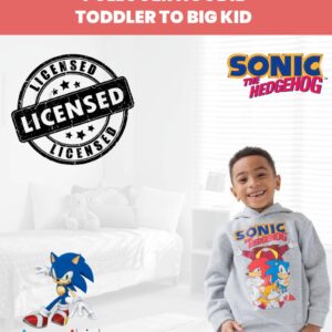 SEGA Sonic The Hedgehog And Friends Little Boys Fleece Hoodie Grey 7-8