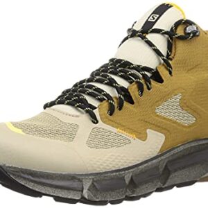 Salomon L4146120012 Predict Hike Mid GTX Cumin/Safari 12 Men's