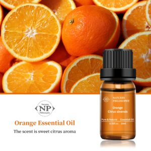 NP Natures Philosophy Orange Essential Oil 10ml, Pure & Plant-Based Aromatherapy Oils for Diffuser, Massage, Skin Care, Bath