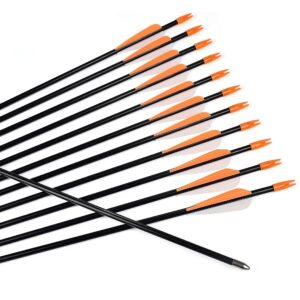 Fiberglass Practice Arrows Archery 24 Inch Target Shooting Safetyglass Recurve Bows Suitable for Youth Children Woman Beginner 6PCS