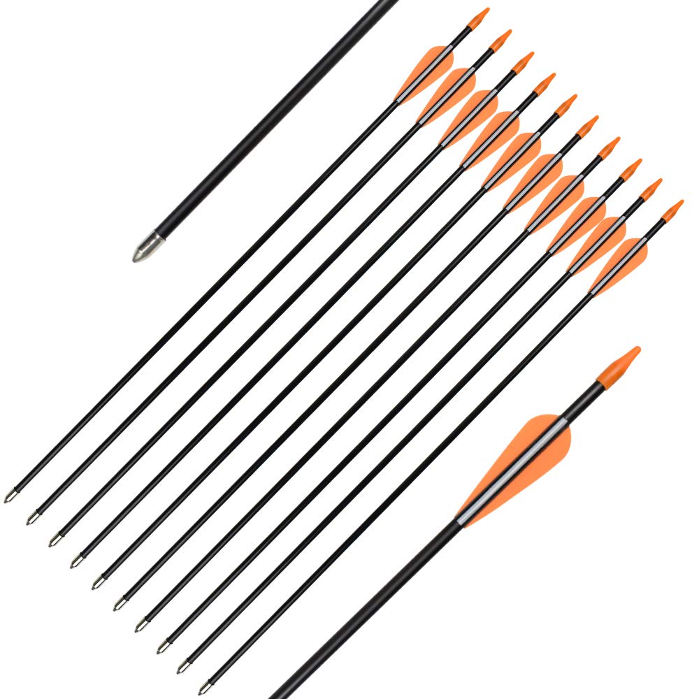 Fiberglass Practice Arrows Archery 24 Inch Target Shooting Safetyglass Recurve Bows Suitable for Youth Children Woman Beginner 6PCS