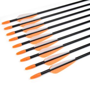 Fiberglass Practice Arrows Archery 24 Inch Target Shooting Safetyglass Recurve Bows Suitable for Youth Children Woman Beginner 6PCS