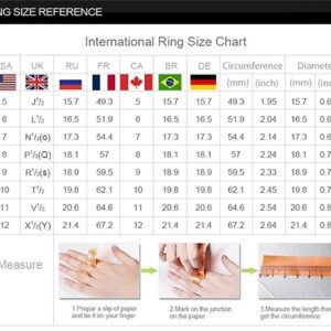 925 Sterling Silver Shiny Full Diamond Ring Cubic Zirconia Cocktail Rings CZ Eternity Engagement Wedding Band Ring for Women (US Code 7)