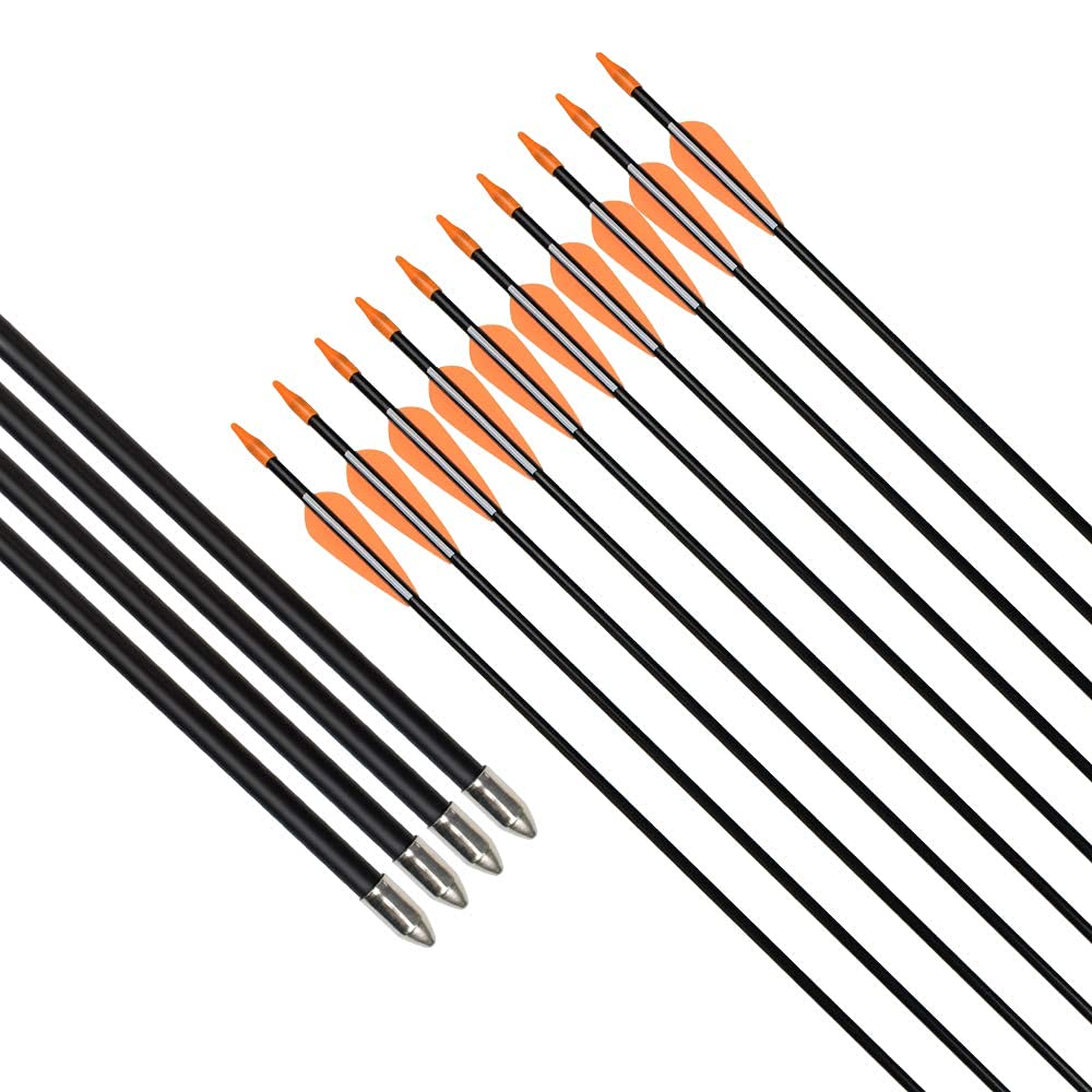 Fiberglass Practice Arrows Archery 24 Inch Target Shooting Safetyglass Recurve Bows Suitable for Youth Children Woman Beginner 6PCS