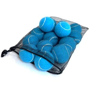 HPWFHPLF Tennis Balls, 15 Pack Practice Tennis Balls for Beginners, Training Playing Tennis Balls for Dogs, Come with Mesh Carry Bag (Blue)