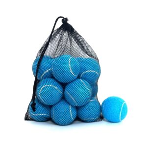 hpwfhplf tennis balls, 15 pack practice tennis balls for beginners, training playing tennis balls for dogs, come with mesh carry bag (blue)