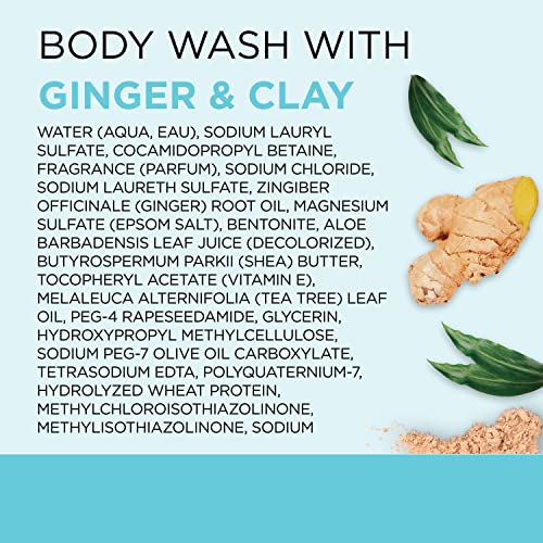 Dr Teal's Body Wash With Pure Epsom Salt, Detoxify & Energize With Ginger & Clay, 24 fl oz (Pack of 4) (Packaging May Vary)