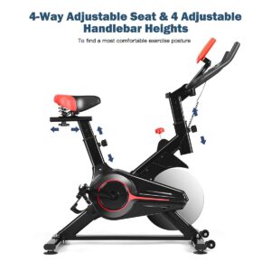 SPORFIT Indoor Cycling Bike Stationary - Exercise Bike with Comfortable Seat Cushion, Silent Belt Drive and Phone Holder for Home Training & Cardio Workout