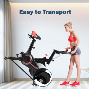 SPORFIT Indoor Cycling Bike Stationary - Exercise Bike with Comfortable Seat Cushion, Silent Belt Drive and Phone Holder for Home Training & Cardio Workout