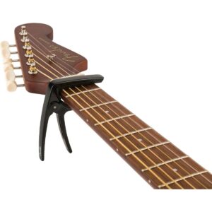 Fender Laurel Capo, Acoustic