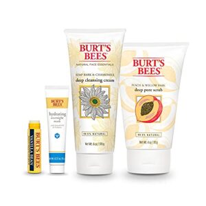 Burt’s Bees Skin Care Essentials Set