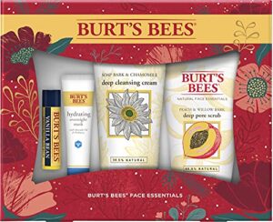 burt’s bees skin care essentials set