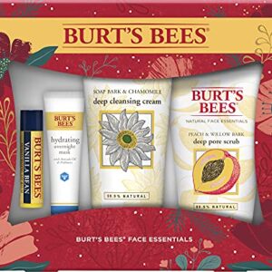 Burt’s Bees Skin Care Essentials Set